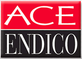 Ace Endico Corporation
